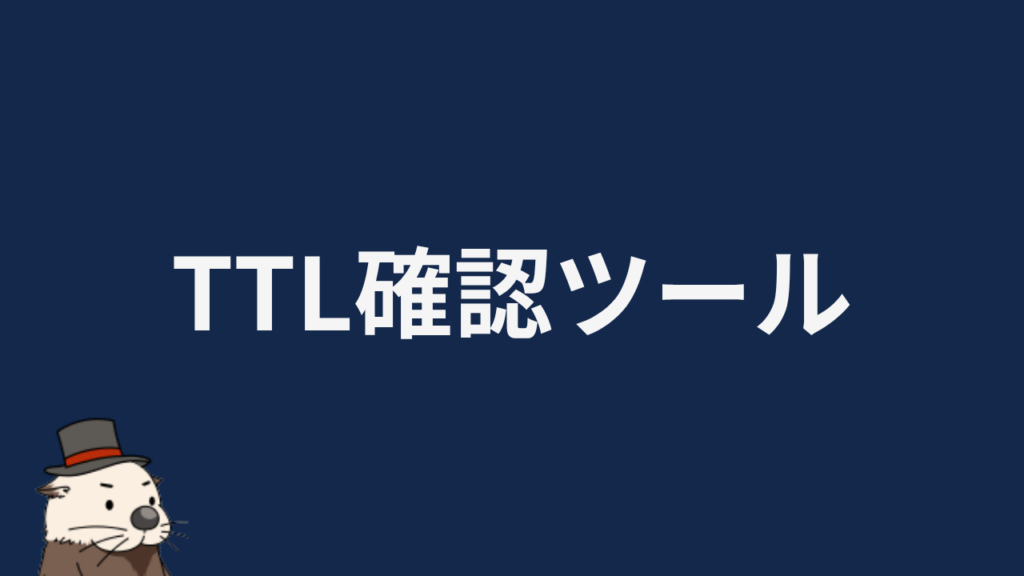 DNS TTL確認ツール - DNSレコードの有効期間を簡単チェック